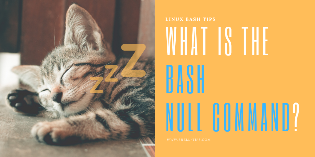 What Is The Bash Null Command