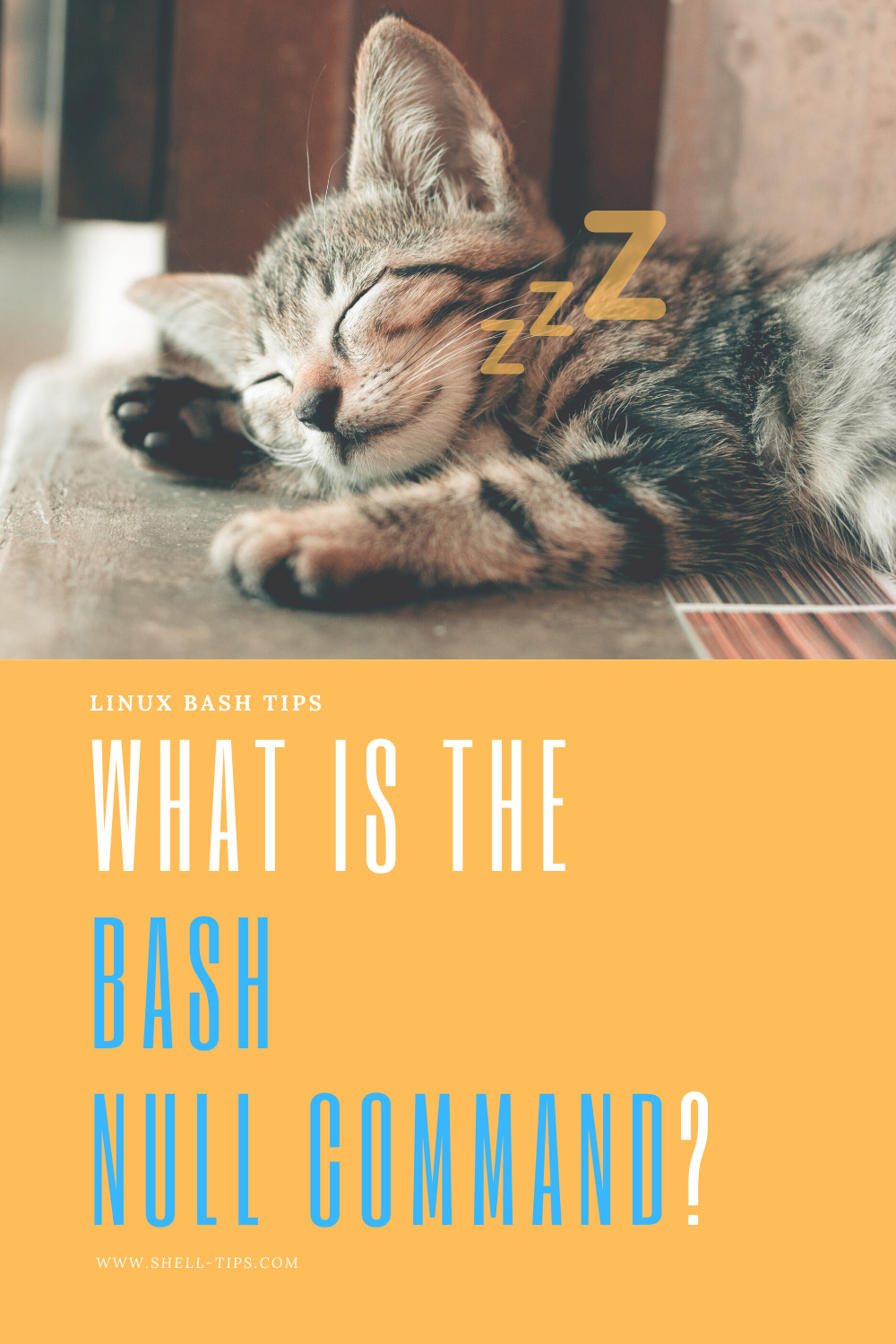 What Is The Bash Null Command